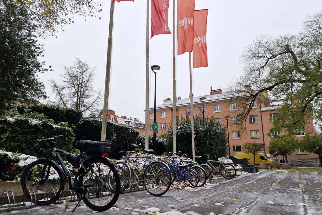 35. Ljubljanski filmski festival,LIFFE, 35. LIFFE